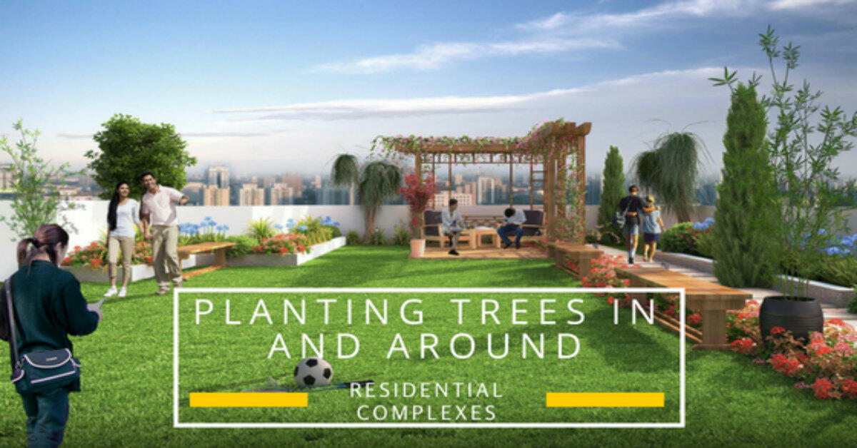 Planting Trees in and Around Residential Complexes